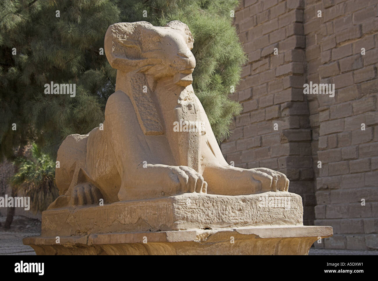 Ram Sphinx at the Entrance to the Temple of Karnak, Luxor, Egypt Stock ...