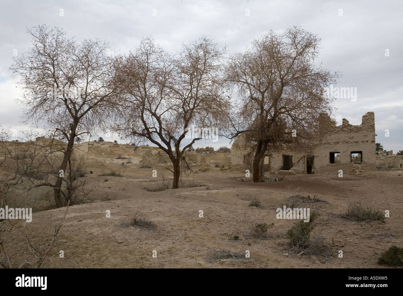 Landscape of the Jordan Valley Israel Stock Photo - Alamy
