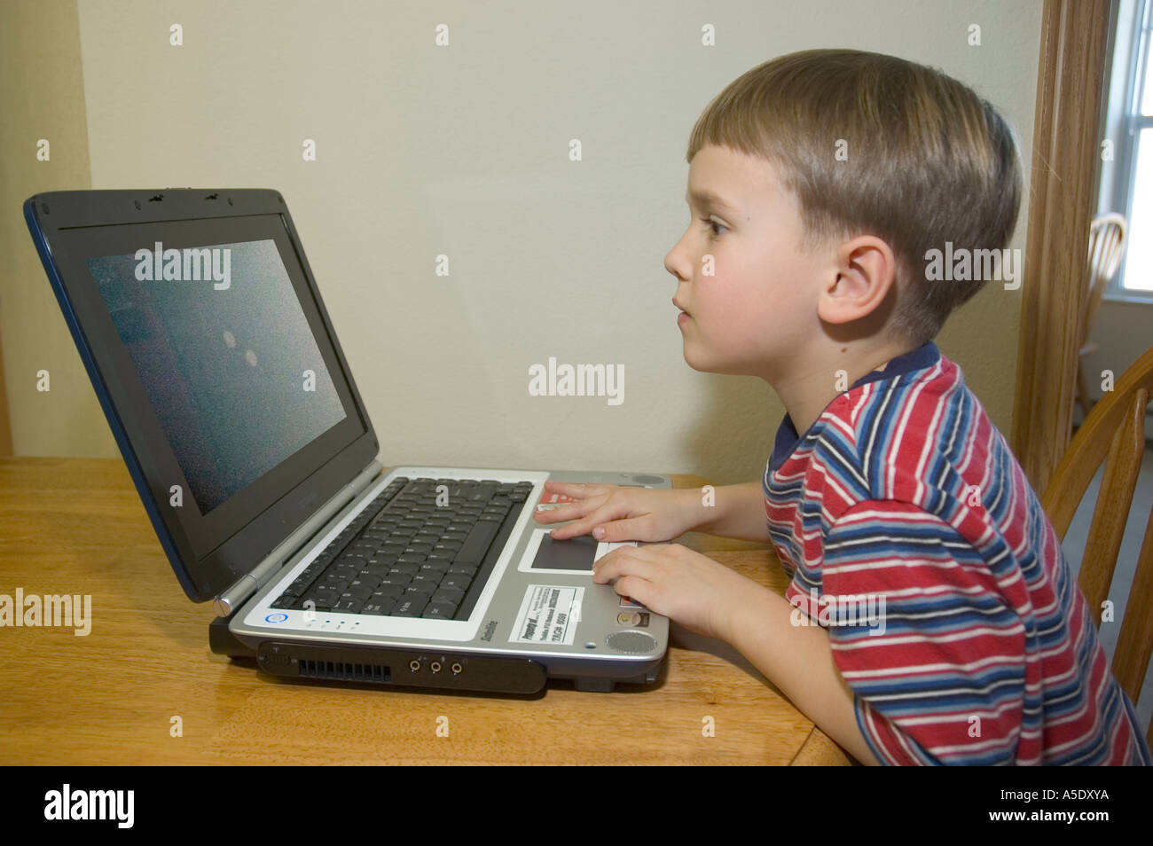 5 Year Old Caucasion Boy Uses Laptop Computer Stock Photo - Alamy