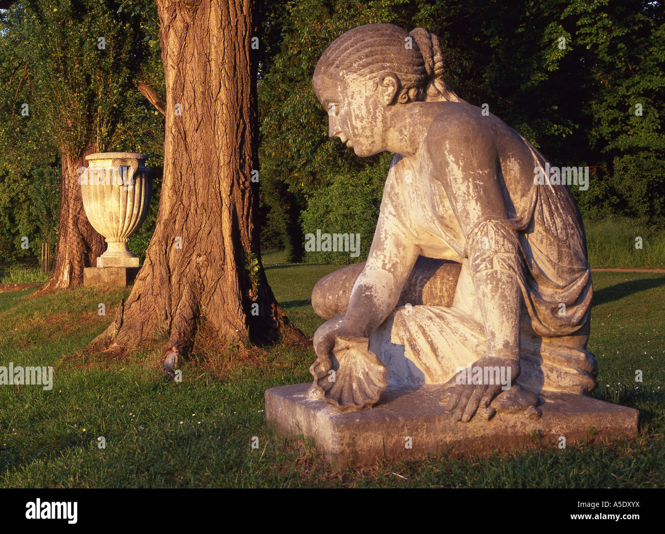 Spring nymph at woerlitz park hi-res stock photography and images - Alamy