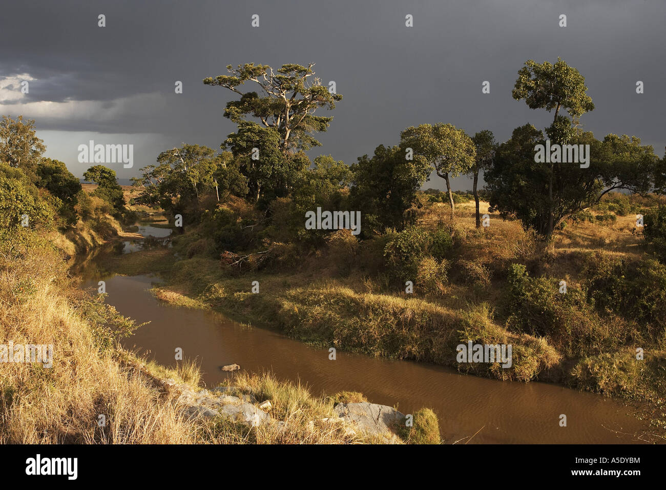 Landscape at talek river hi-res stock photography and images - Alamy