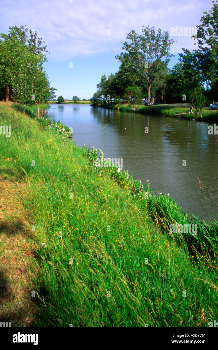 River Vendée near Marans Stock Photo - Alamy
