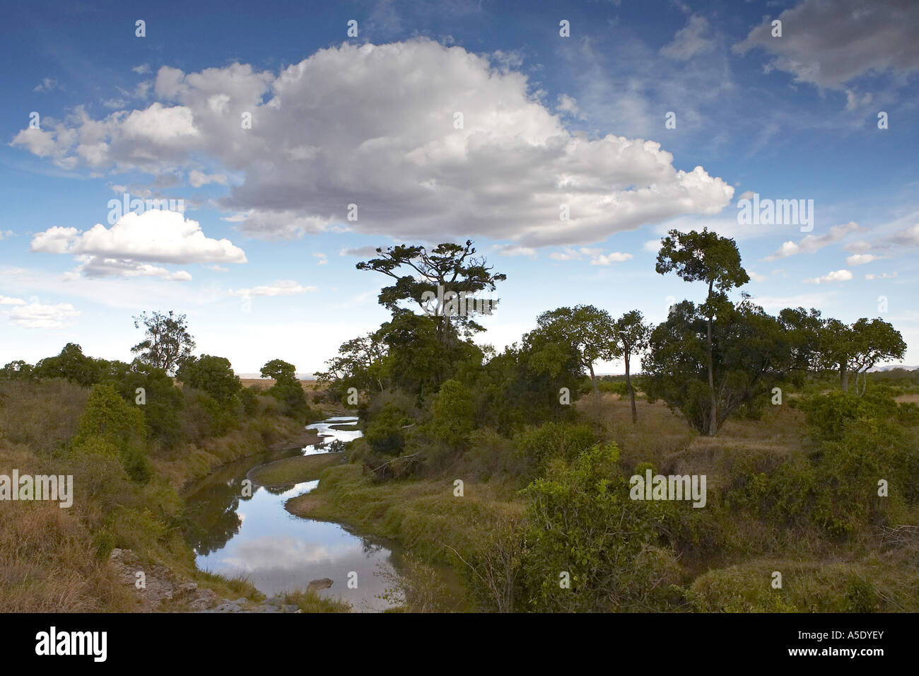 Landscape at talek river hi-res stock photography and images - Alamy