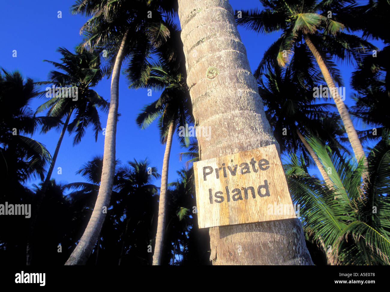 Private Island sign on coconut palm tree Belize Central America ...