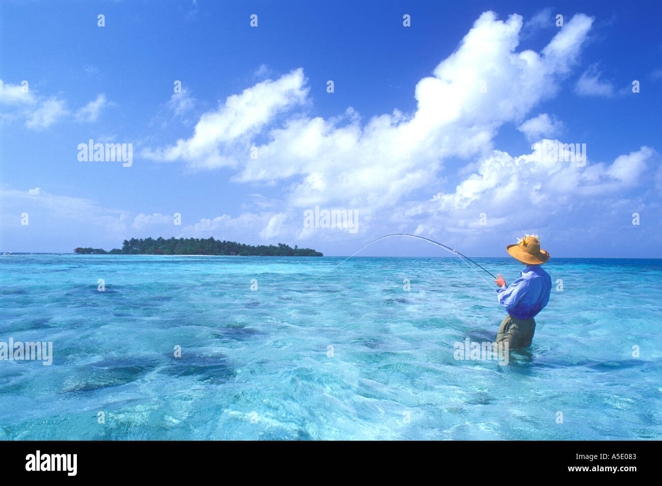 Fly fisherman hooked up to fish with rod bent Belize Central America ...