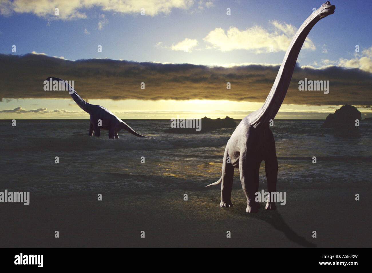 Brachiosaurus at the sea Stock Photo - Alamy