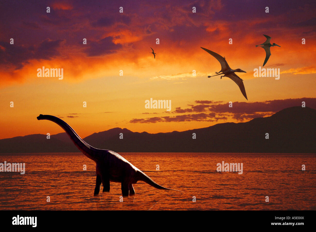 Brachiosaurus at the sea Stock Photo - Alamy