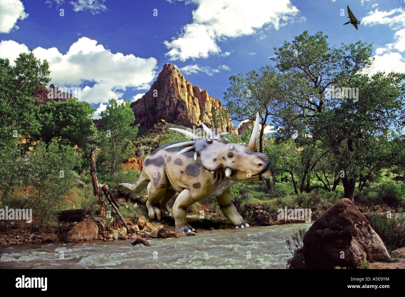 Styracosaurus hi-res stock photography and images - Alamy
