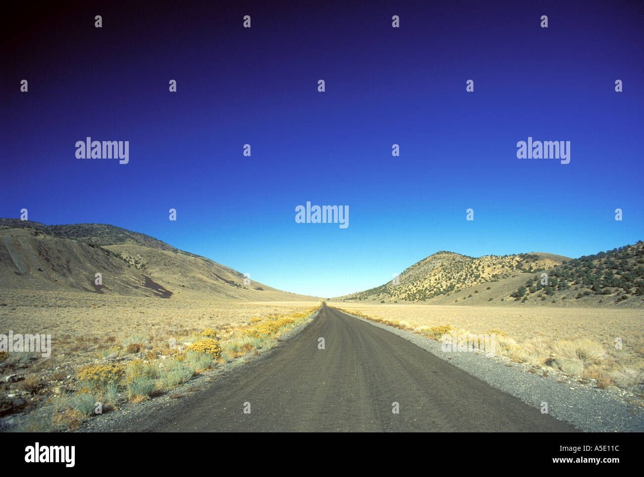 Empty path and road hi-res stock photography and images - Alamy