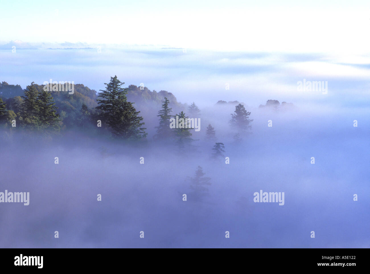 Fog enshrouded san francisco hi-res stock photography and images - Alamy