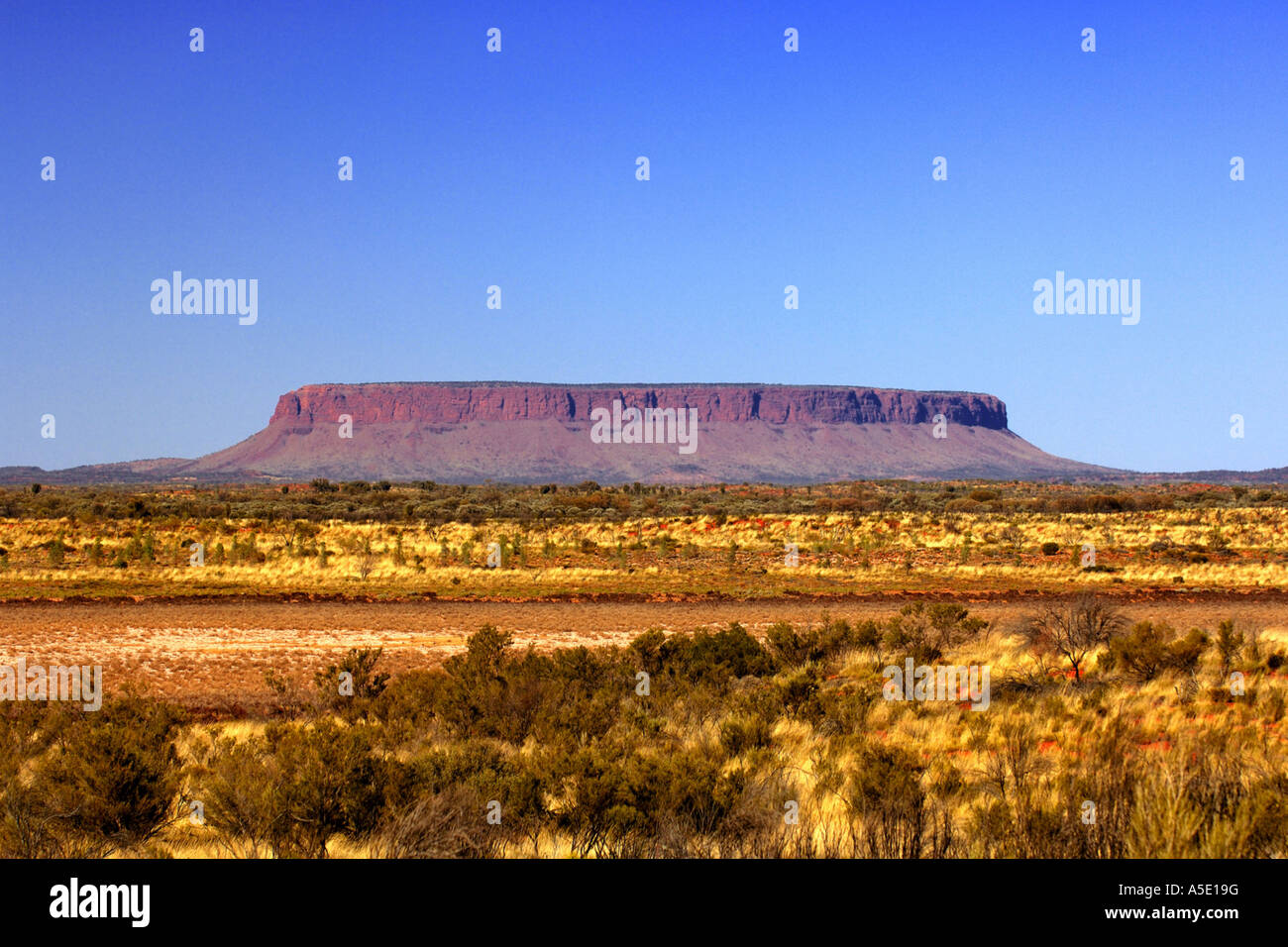 Mount Connor, Australia, Northern Territory Stock Photo - Alamy
