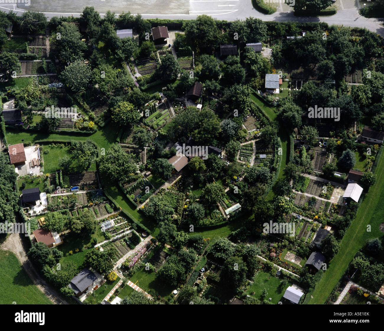 allotment garden, Germany, Bavaria, Bayreuth Stock Photo - Alamy