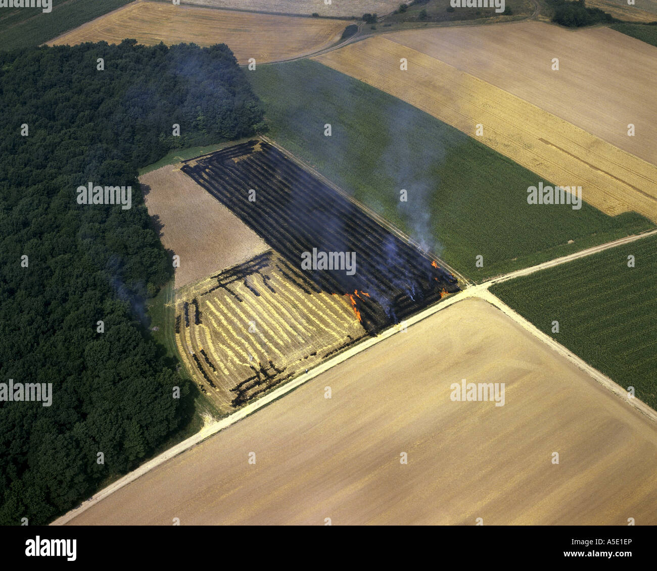 burning field, Germany, Bavaria, Franconia Stock Photo - Alamy