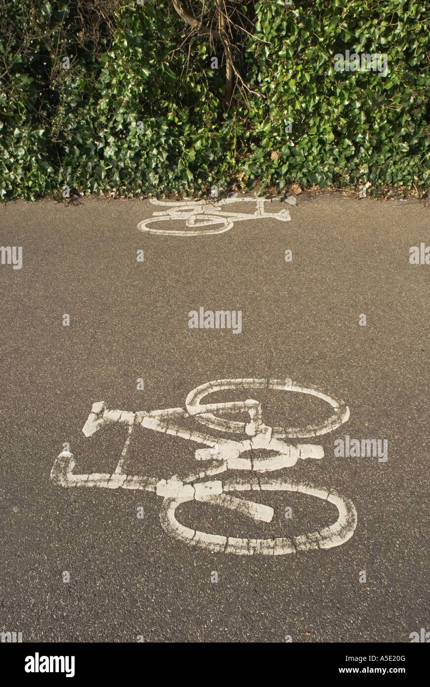 Track bicycle hi-res stock photography and images - Alamy