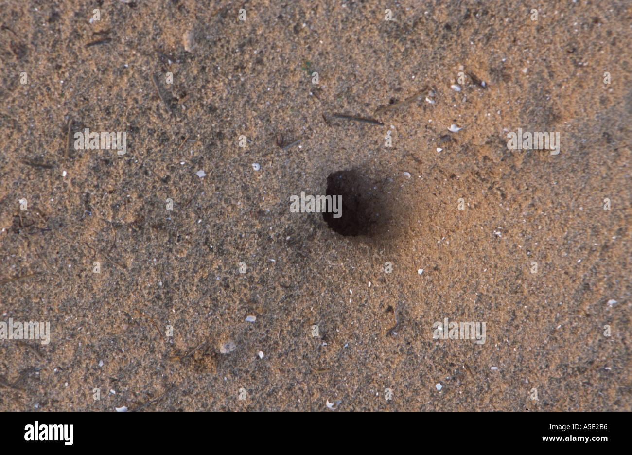 sand dune stone hole mineral Stock Photo - Alamy
