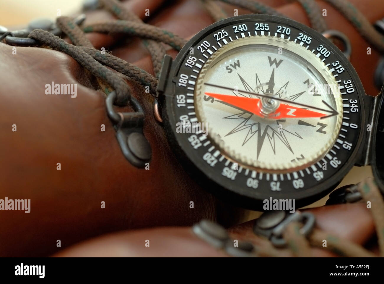 Magnetic compass hi-res stock photography and images - Alamy