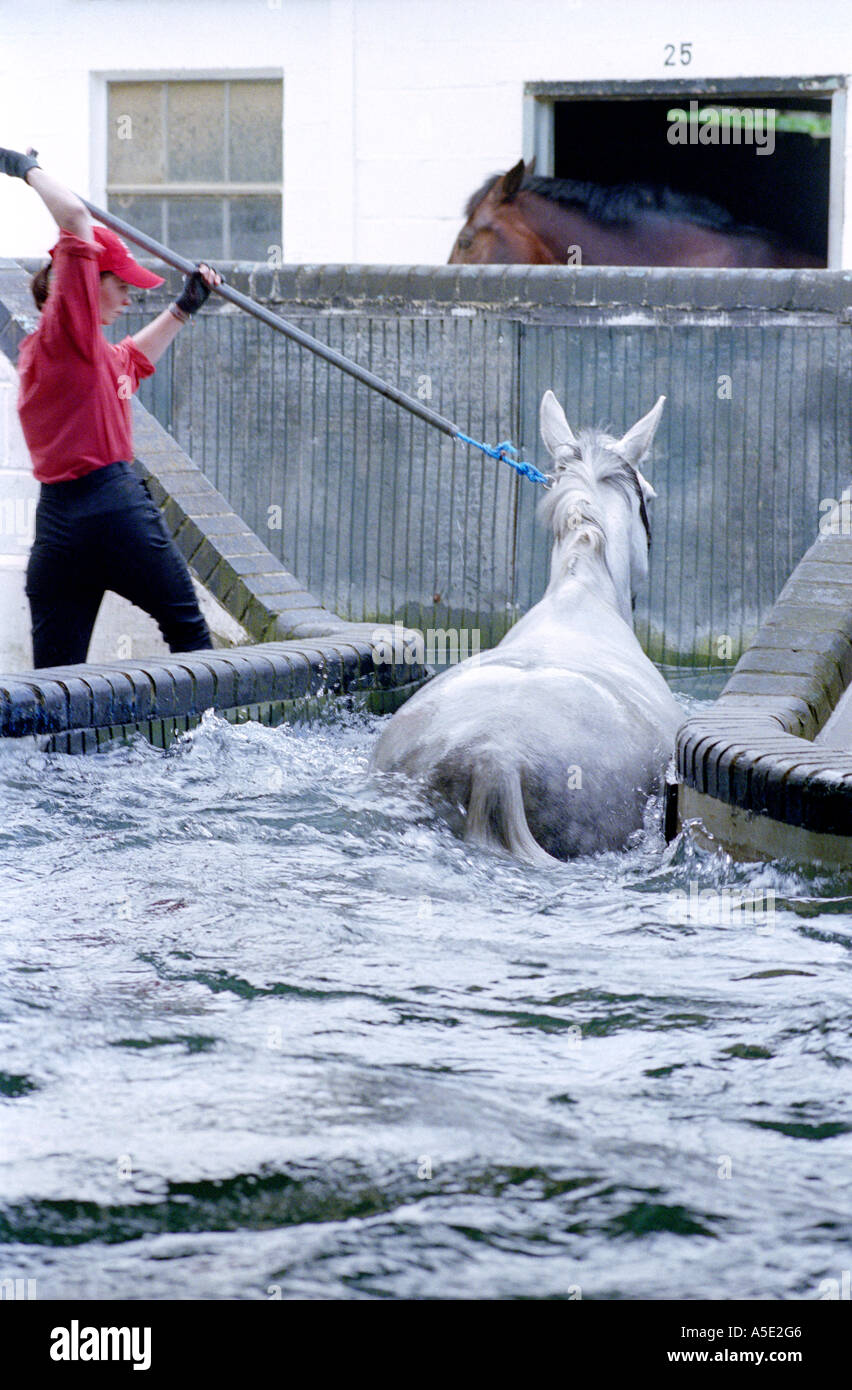 Bog spavins hi-res stock photography and images - Alamy