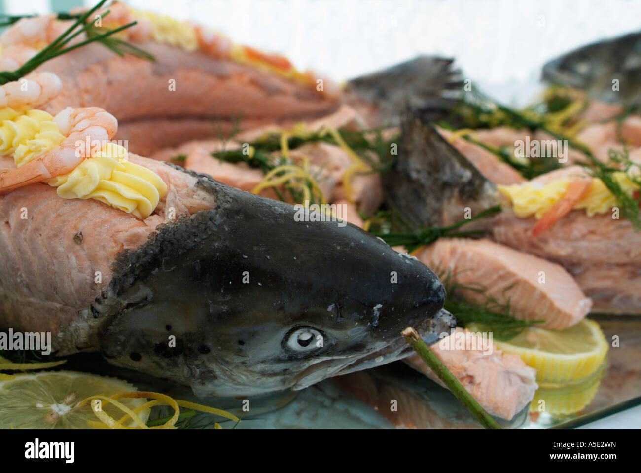 Salmon prepared for a cold buffet on a mirror Stock Photo - Alamy