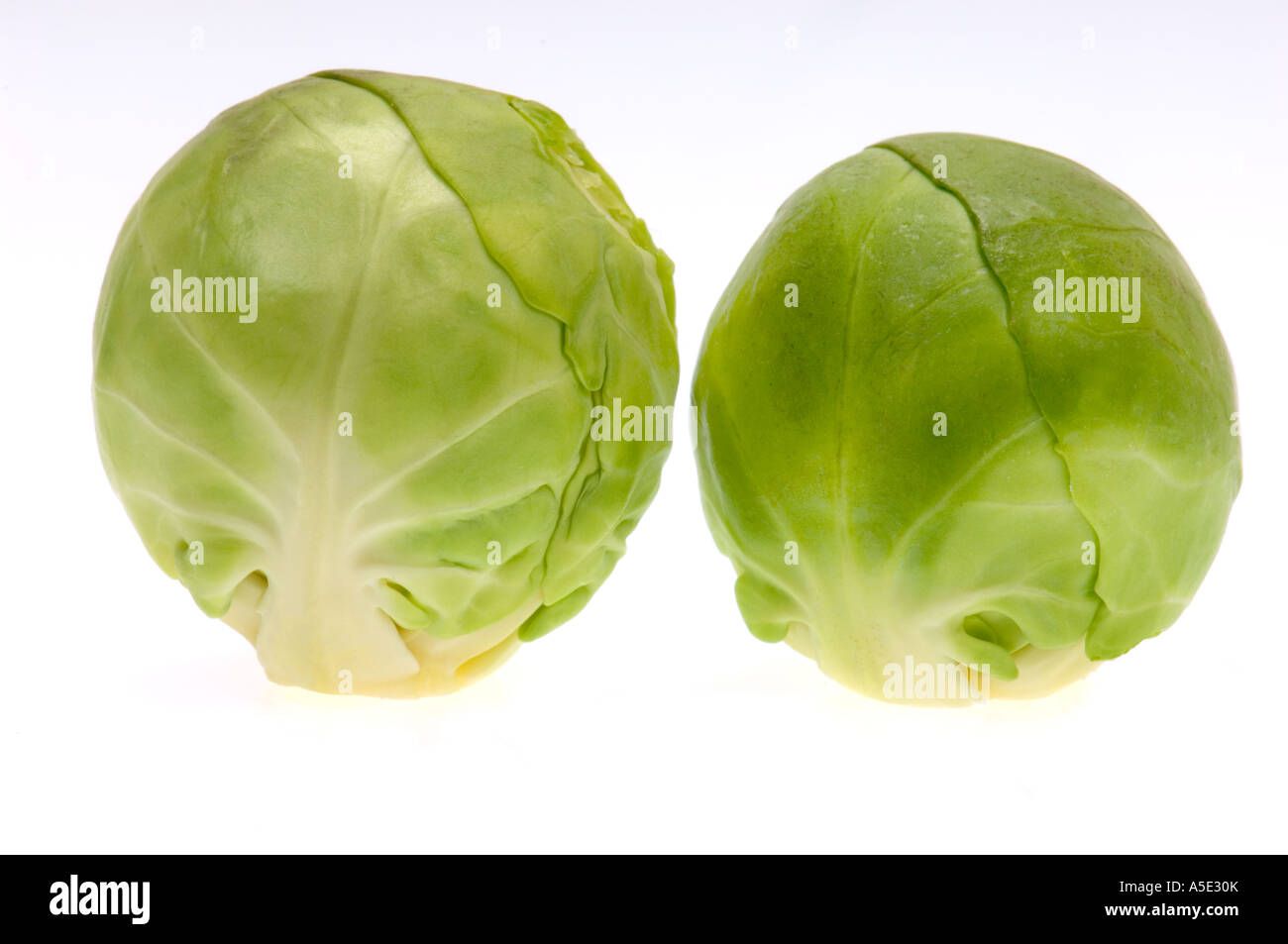 Head sprouts store