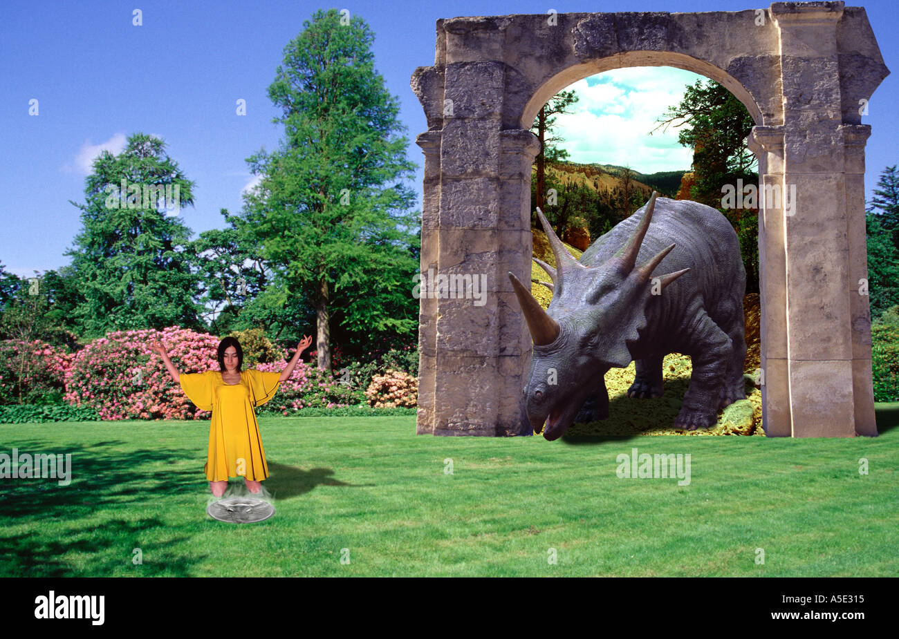 Timedor hi-res stock photography and images - Alamy