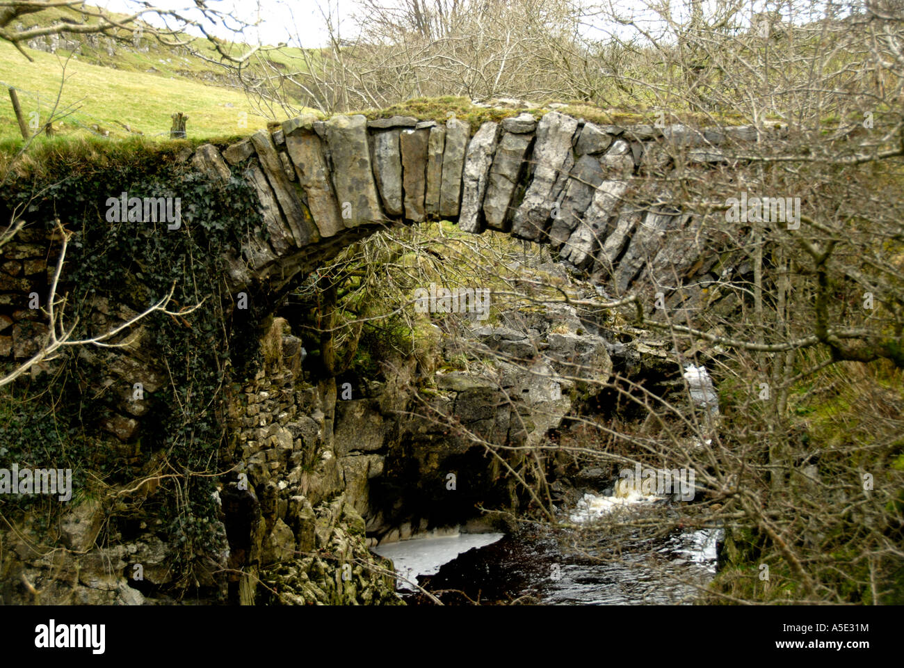 Packhorse bridge over Gayle Beck. Thorns Gill, Yorkshire Dales National ...