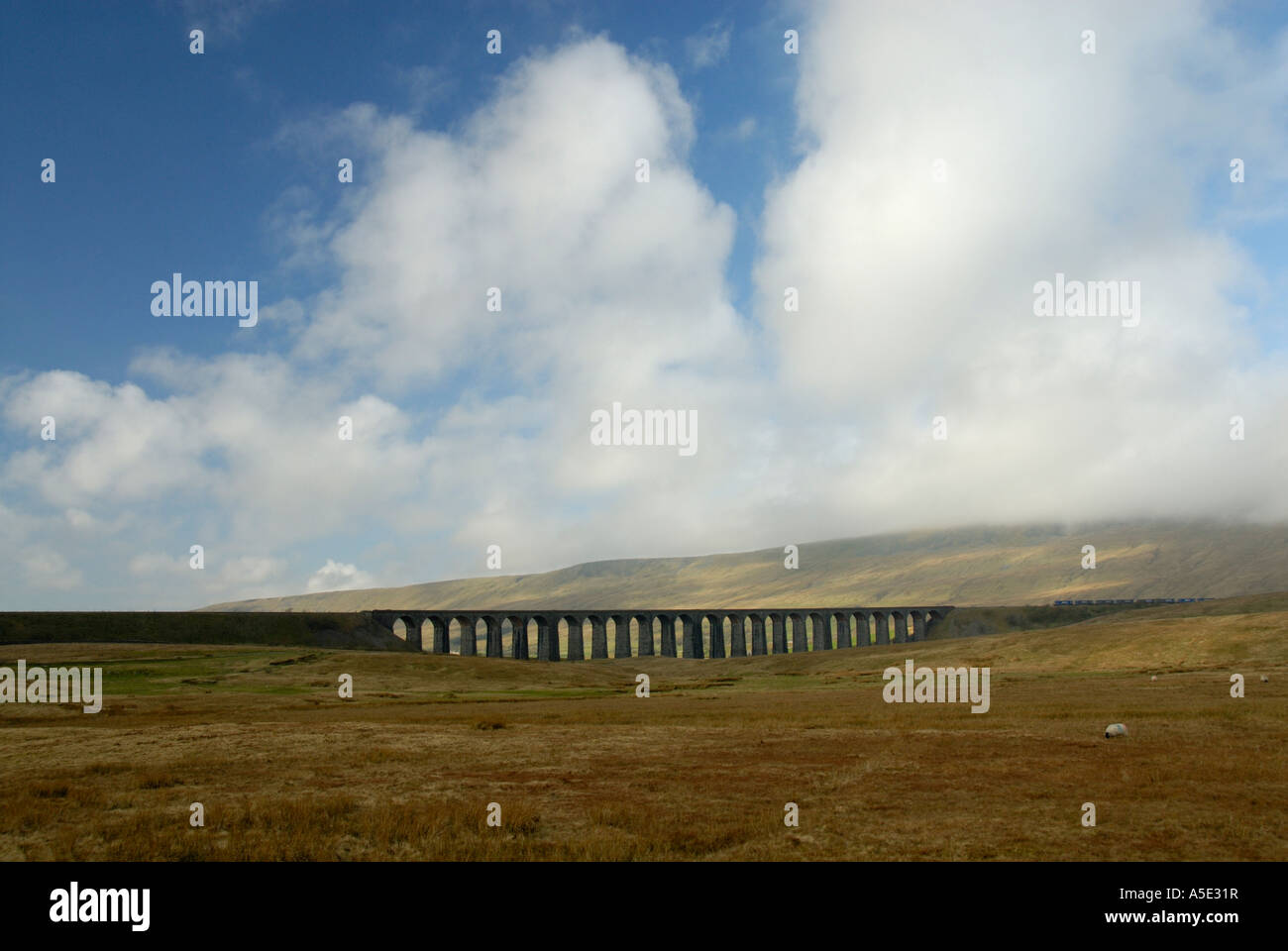 Ribblehead viaduct on the Leeds-Settle-Carlisle railway. Batty Moss ...
