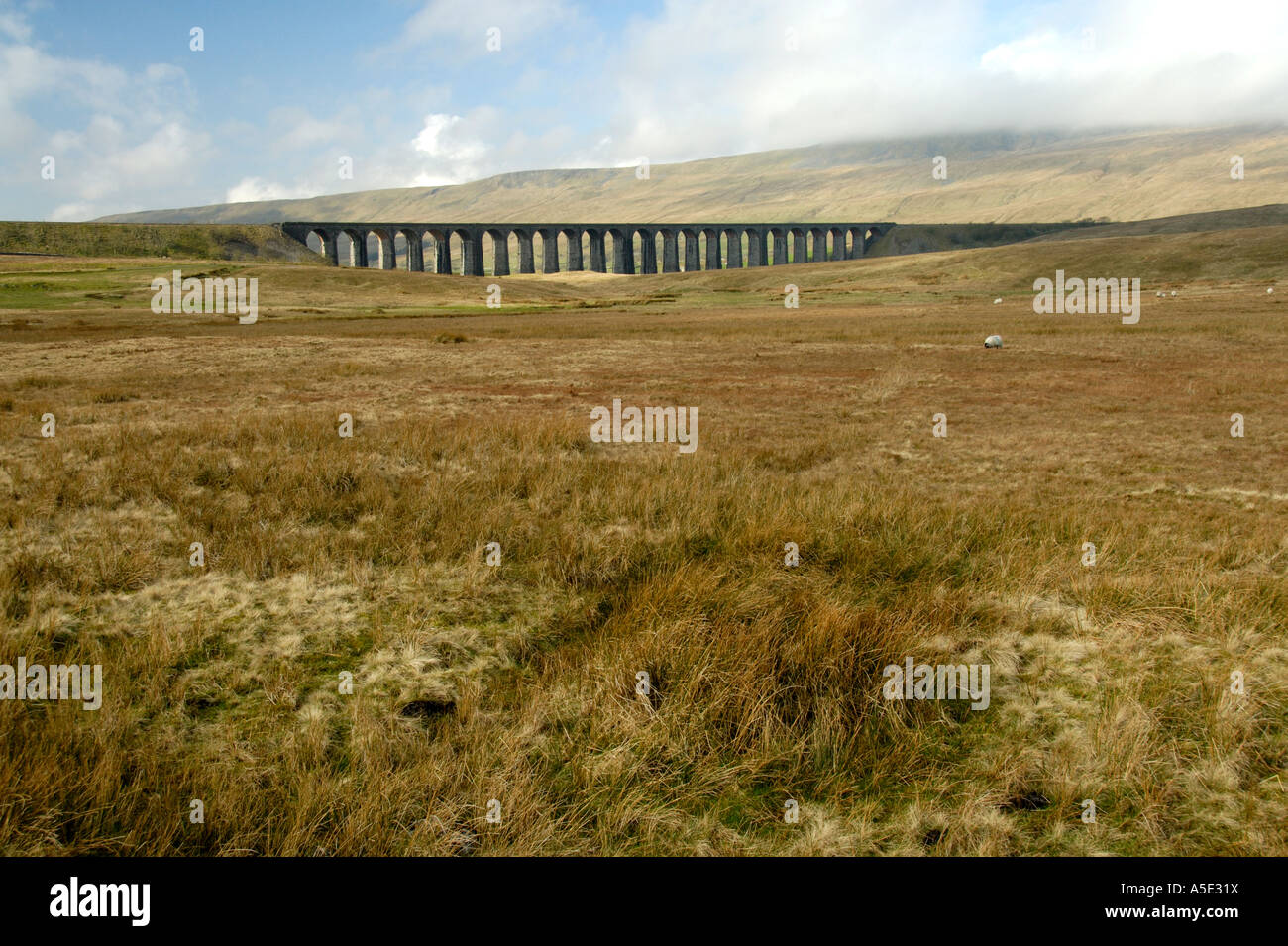 Ribblehead viaduct on the Leeds-Settle-Carlisle railway. Batty Moss ...