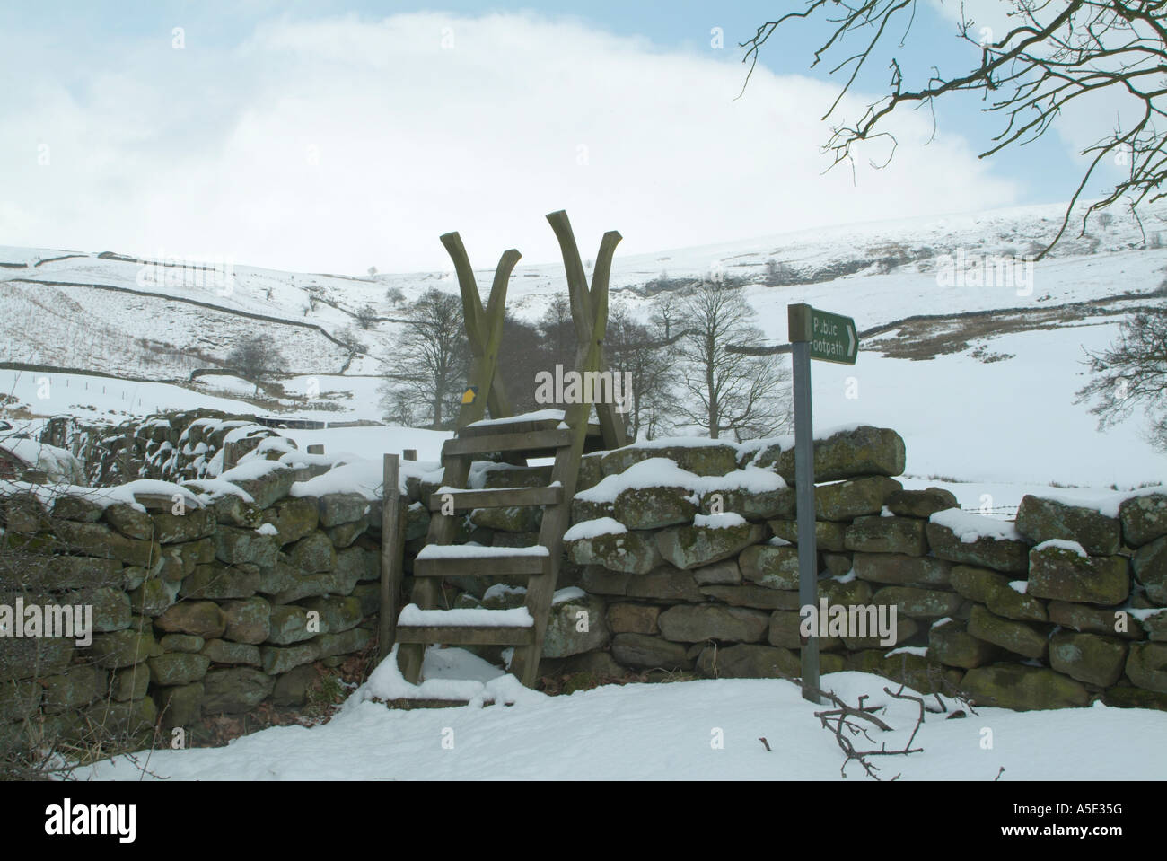 Ladder stile over a dry stone wall on a public footpath in Farndale in ...