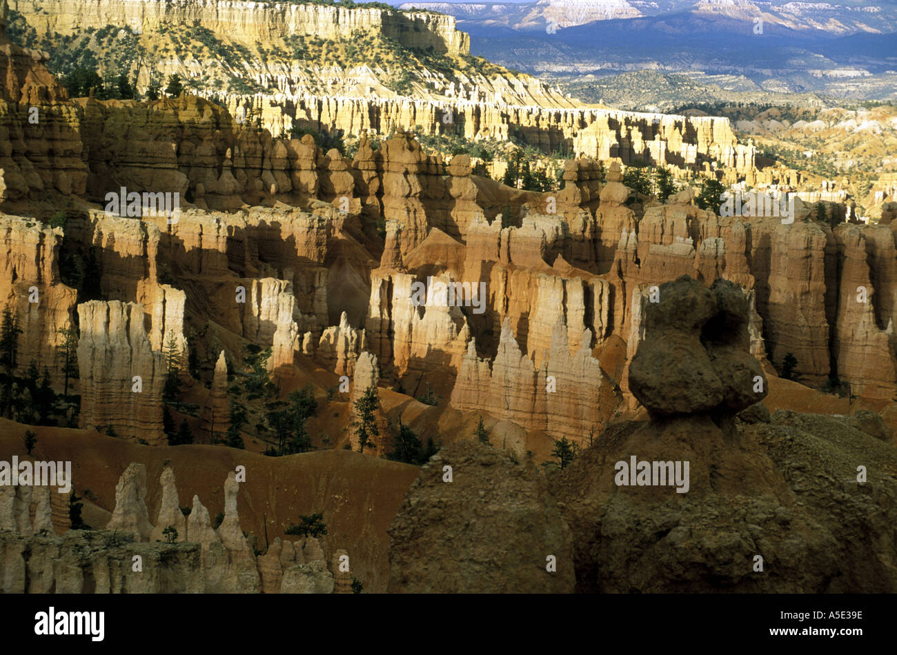 COLUMNS BRYCE CANYON NATIONAL PARK UTAH USA Stock Photo - Alamy