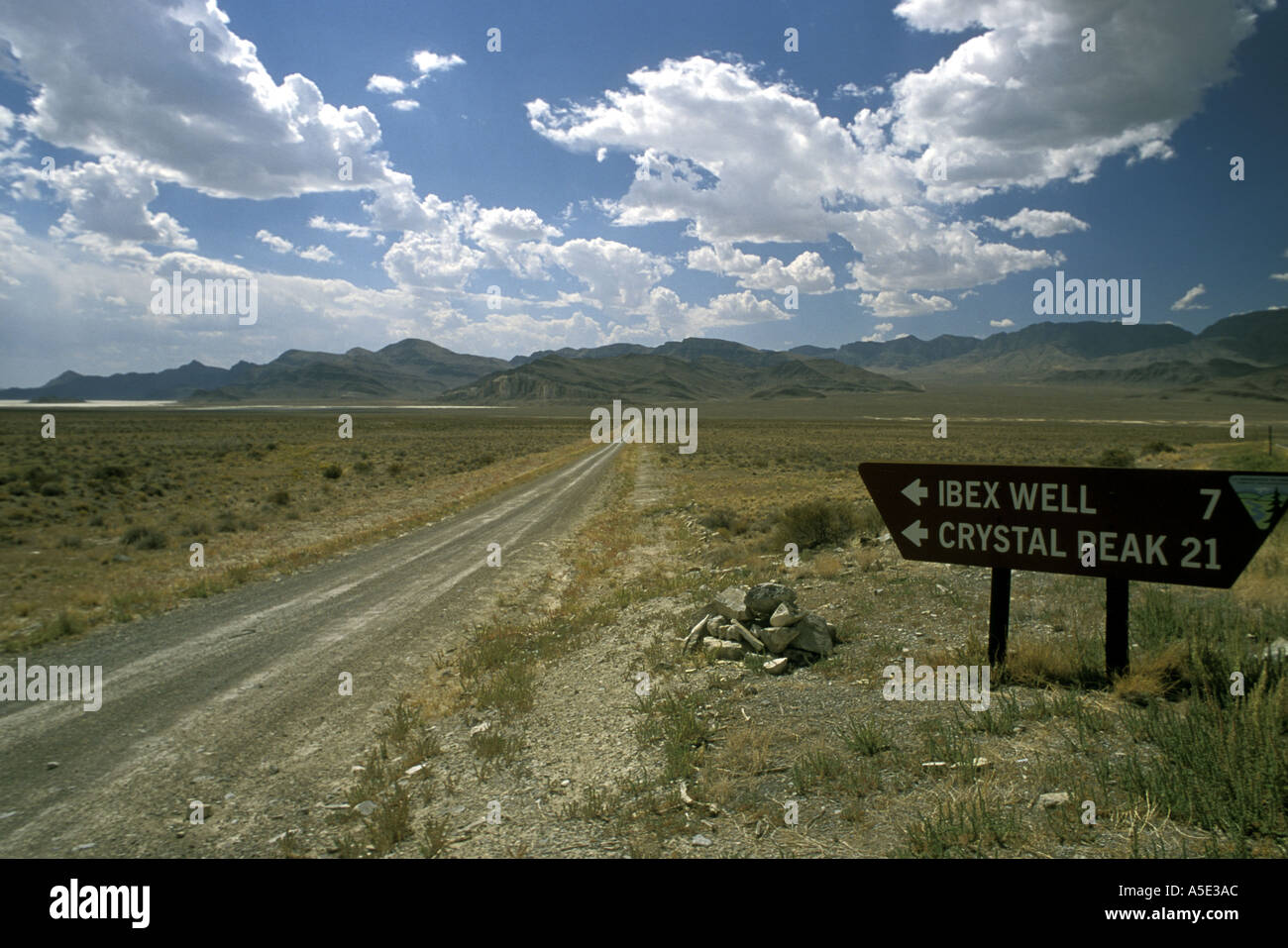 Ibex well hi-res stock photography and images - Alamy