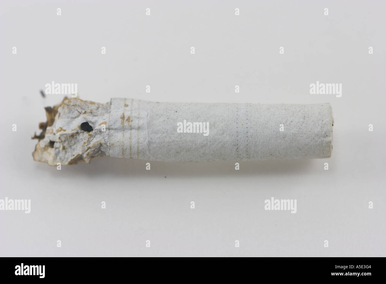 Used cigarettes on a white background Stock Photo - Alamy