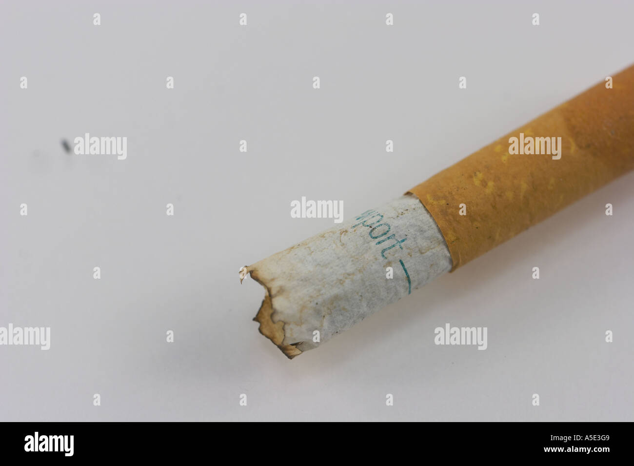 Used cigarettes on a white background Stock Photo - Alamy