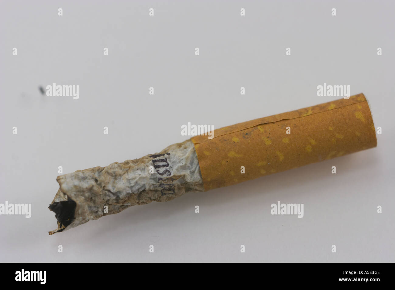 Used cigarettes on a white background Stock Photo - Alamy