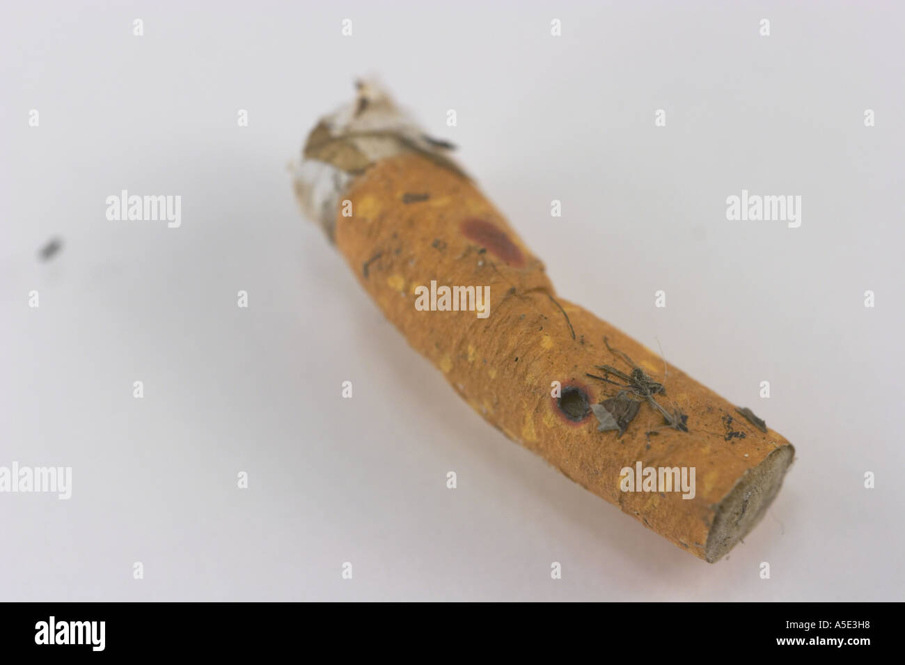 Used cigarettes on a white background Stock Photo - Alamy