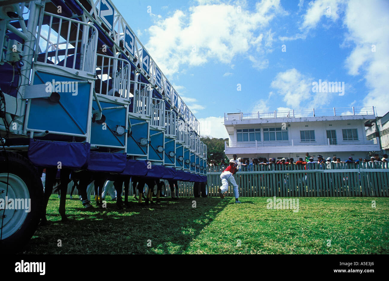 Horse Racing in Mauritius Stock Photo - Alamy