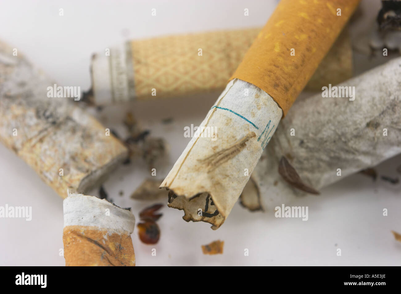 Used cigarettes on a white background Stock Photo - Alamy