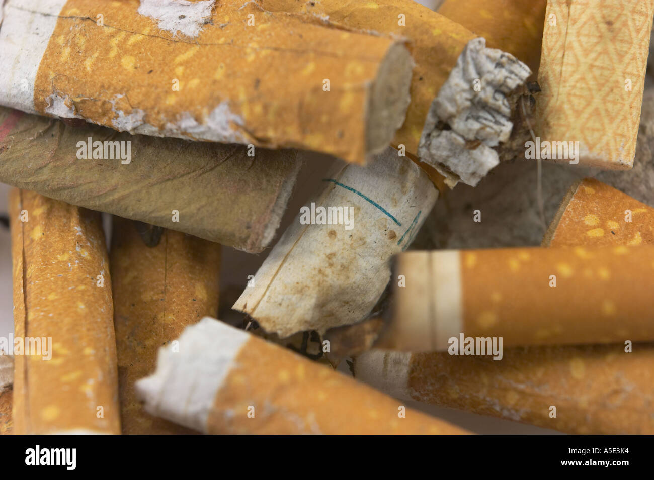 Used cigarettes on a white background Stock Photo - Alamy