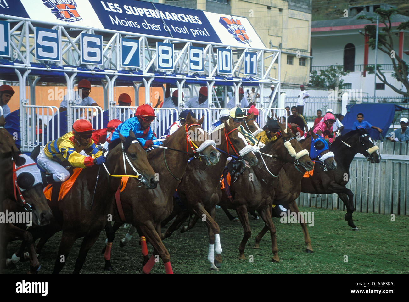 Horse Racing in Mauritius Stock Photo - Alamy