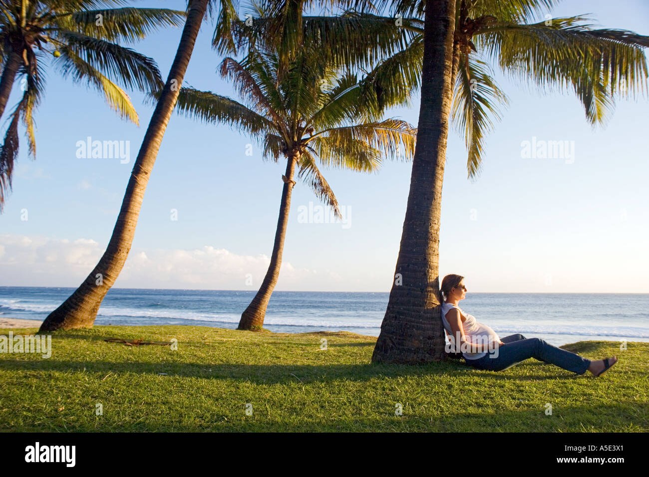 Pregnant Women sitting under Palm Tree Stock Photo - Alamy