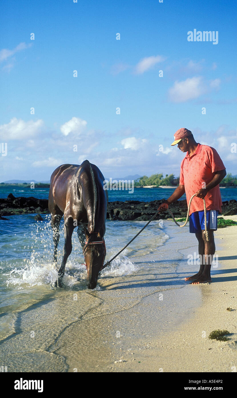 Mauritius horse race hi-res stock photography and images - Alamy
