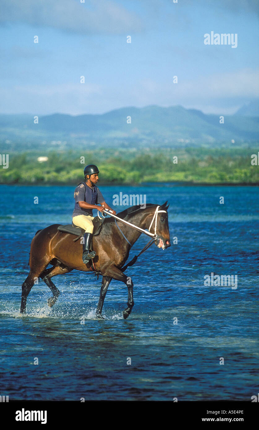 Mauritius horse race hi-res stock photography and images - Alamy