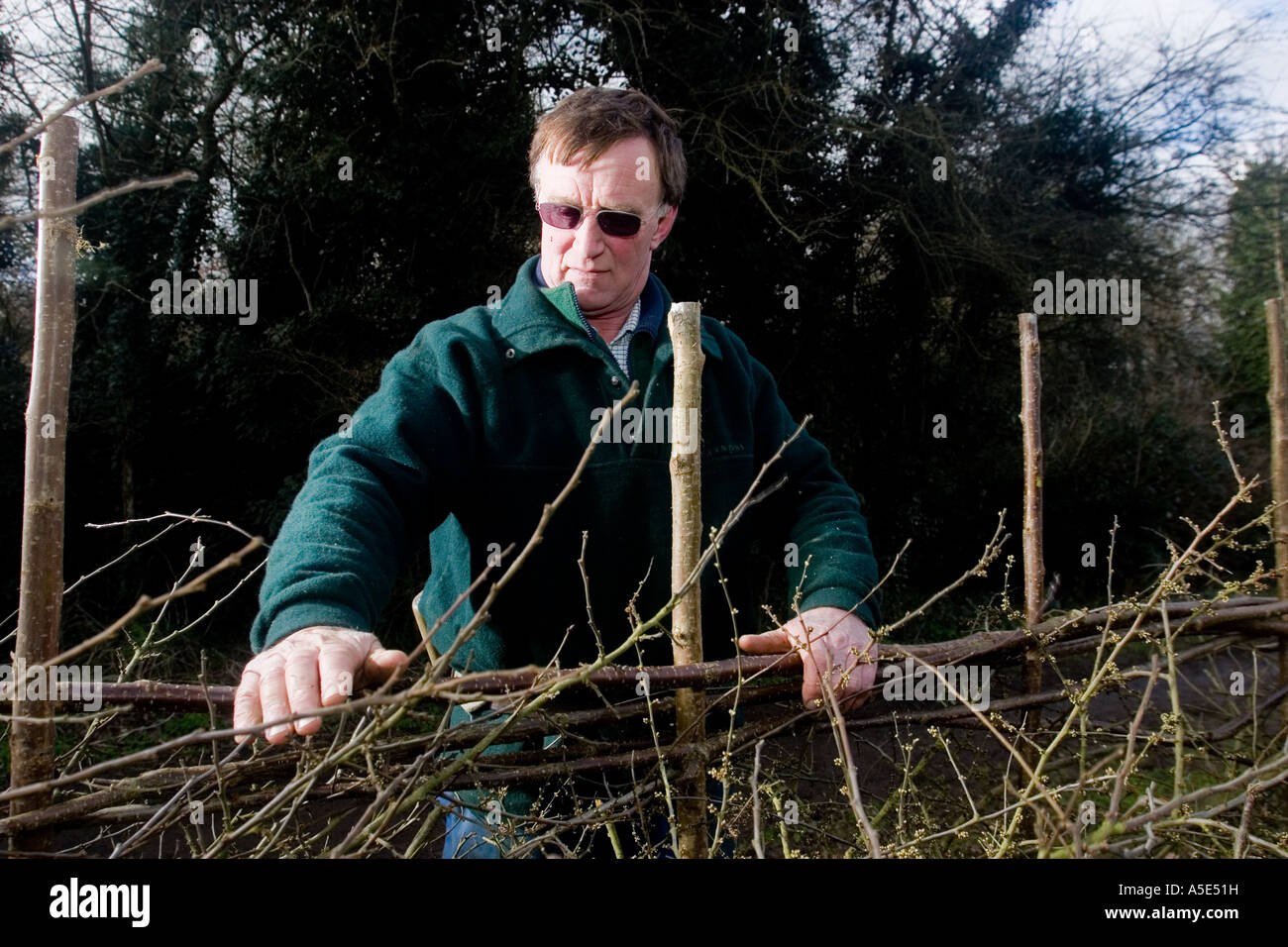 Peter Tunks building a tradtional hedge in caterham Stock Photo - Alamy