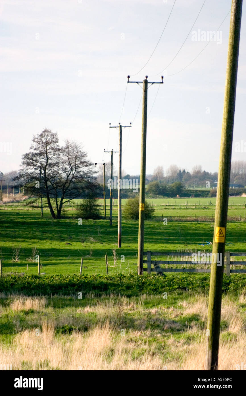 Telegraph poles in an English field Stock Photo - Alamy
