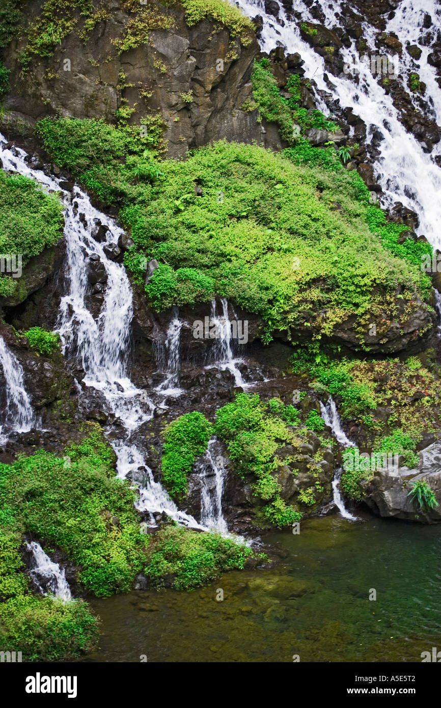 Waterfall at Langvin, Reunion island Stock Photo - Alamy