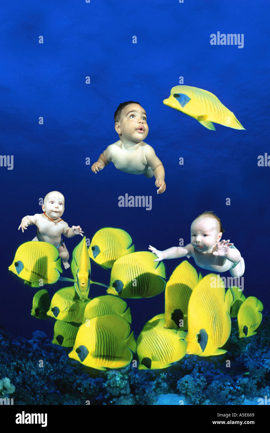 babies diving with tropical fish, digitally altered Stock Photo - Alamy