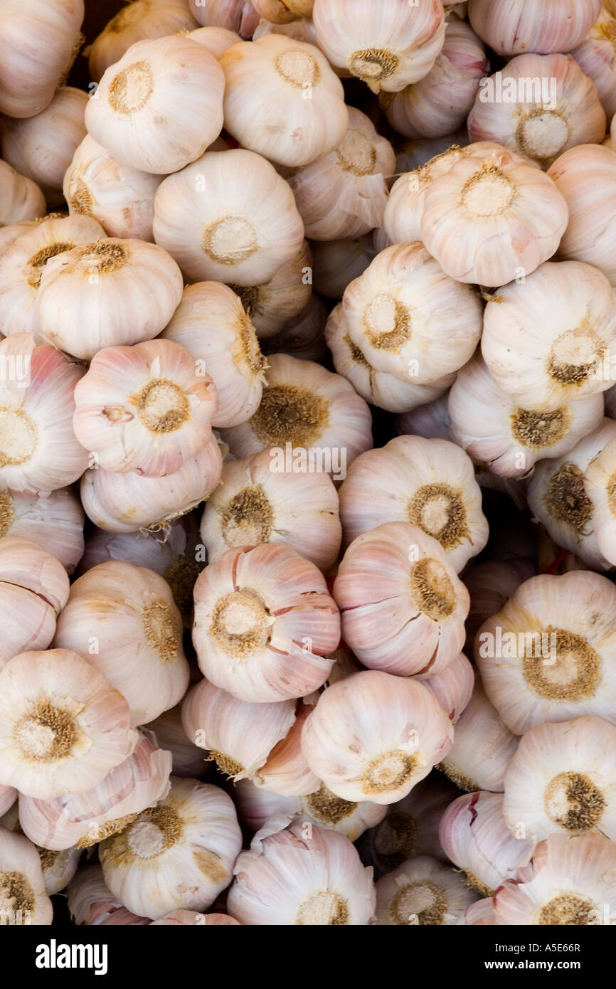 Garlic bulbs on display in a French market Stock Photo - Alamy