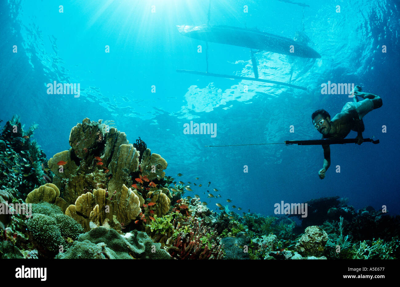 indonesian harpooner under water hunter Stock Photo - Alamy