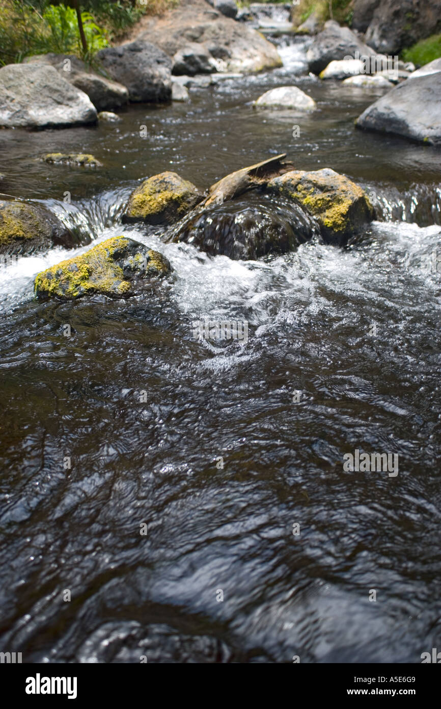 Fast flowing river in Forest, Reunion Island Stock Photo - Alamy