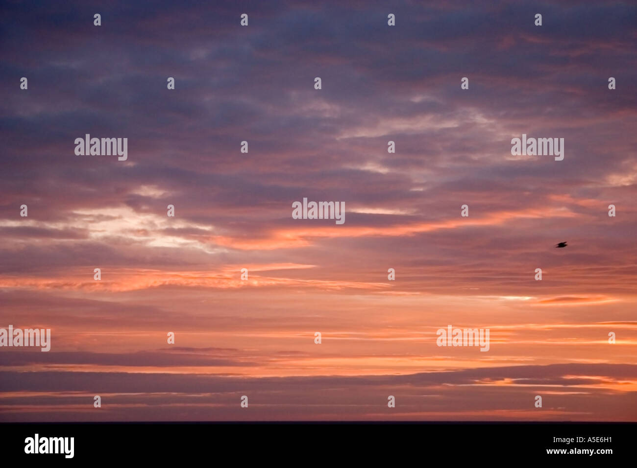 Evening light background Stock Photo - Alamy