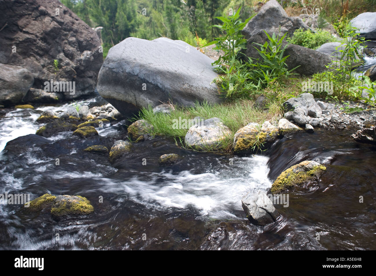 Fast Running Water in Forest, Reunion Island Stock Photo - Alamy